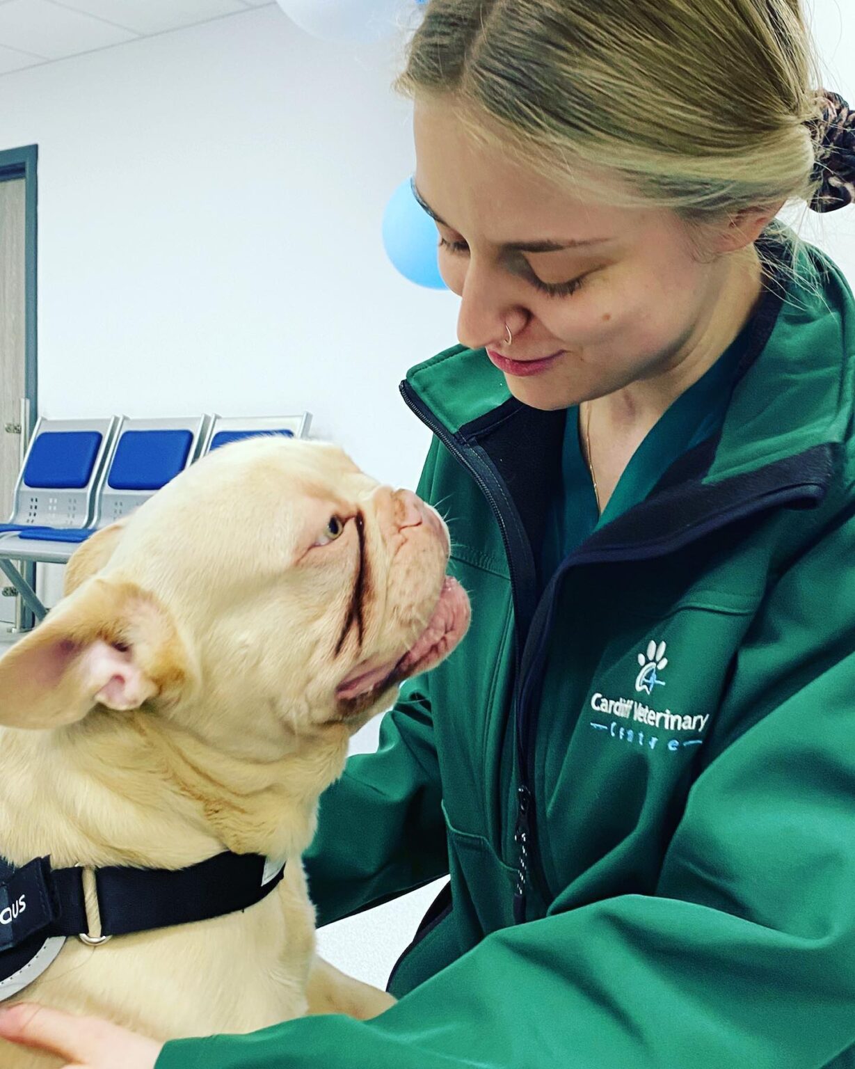 Cardiff Veterinary Centre – Welcome to Cardiff Veterinary Centre