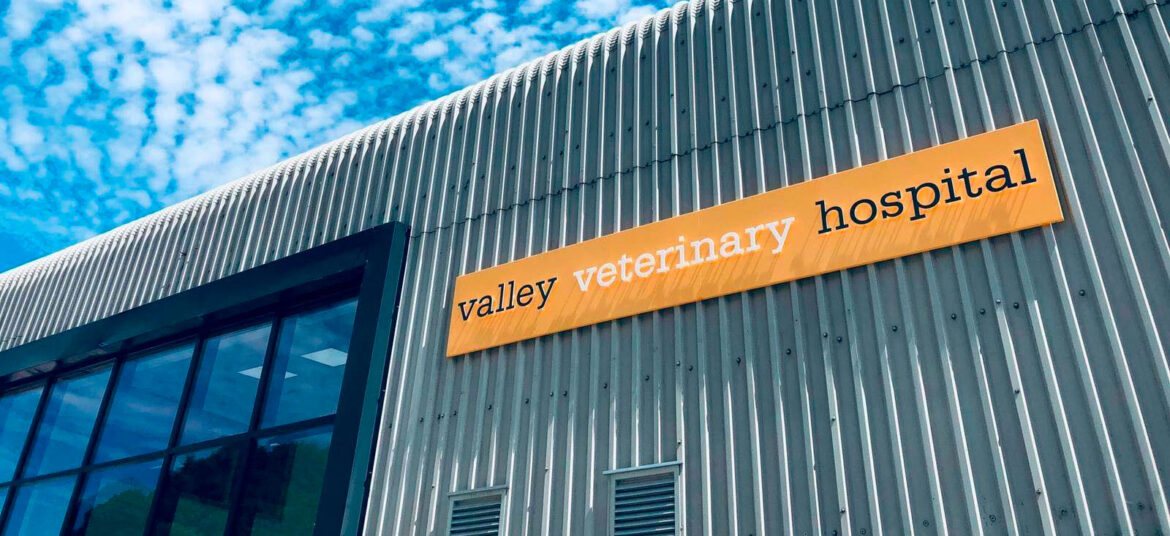Cardiff Veterinary Centre – Welcome to Cardiff Veterinary Centre